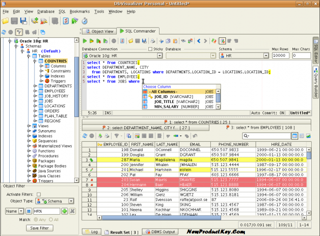 DbVisualizer Pro 14.0.3 Crack + Activation Key Free Download